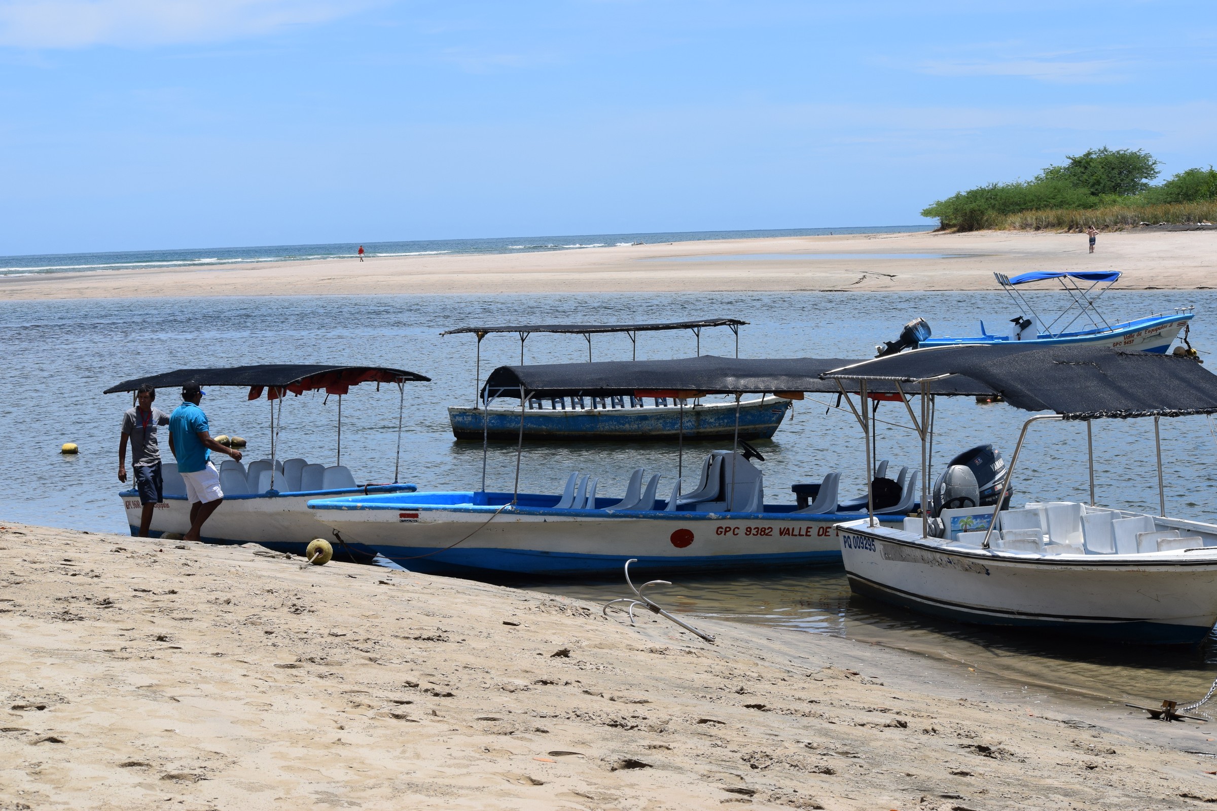 The unusual wildlife and unforgettable sunsets of Tamarindo, Costa Rica ...