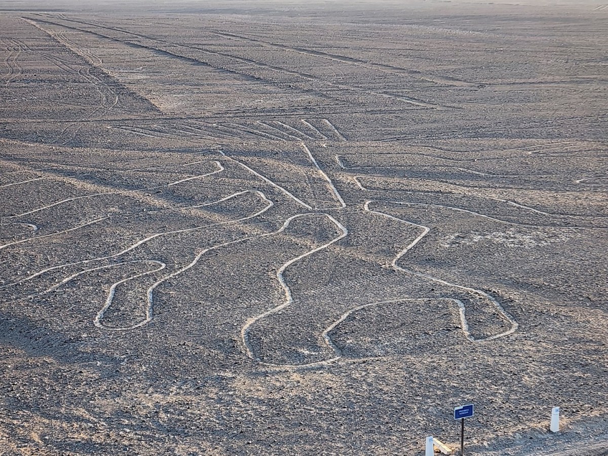Checking out the Ancient Nazca Lines in Peru – Humphreys Travel